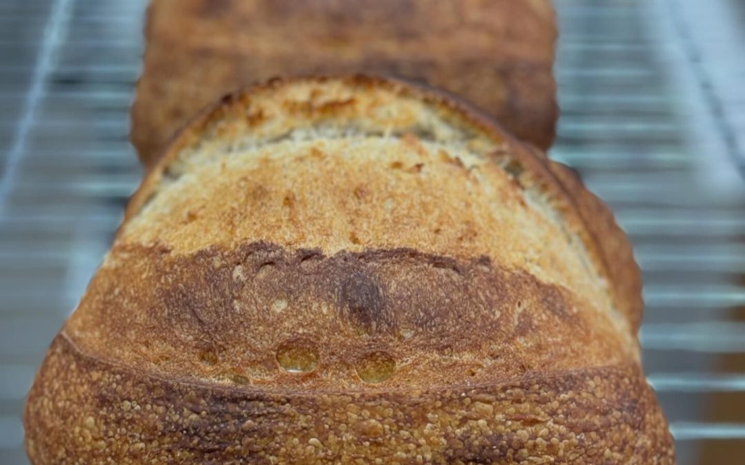 Directory Archive - Royal Leamington Spa