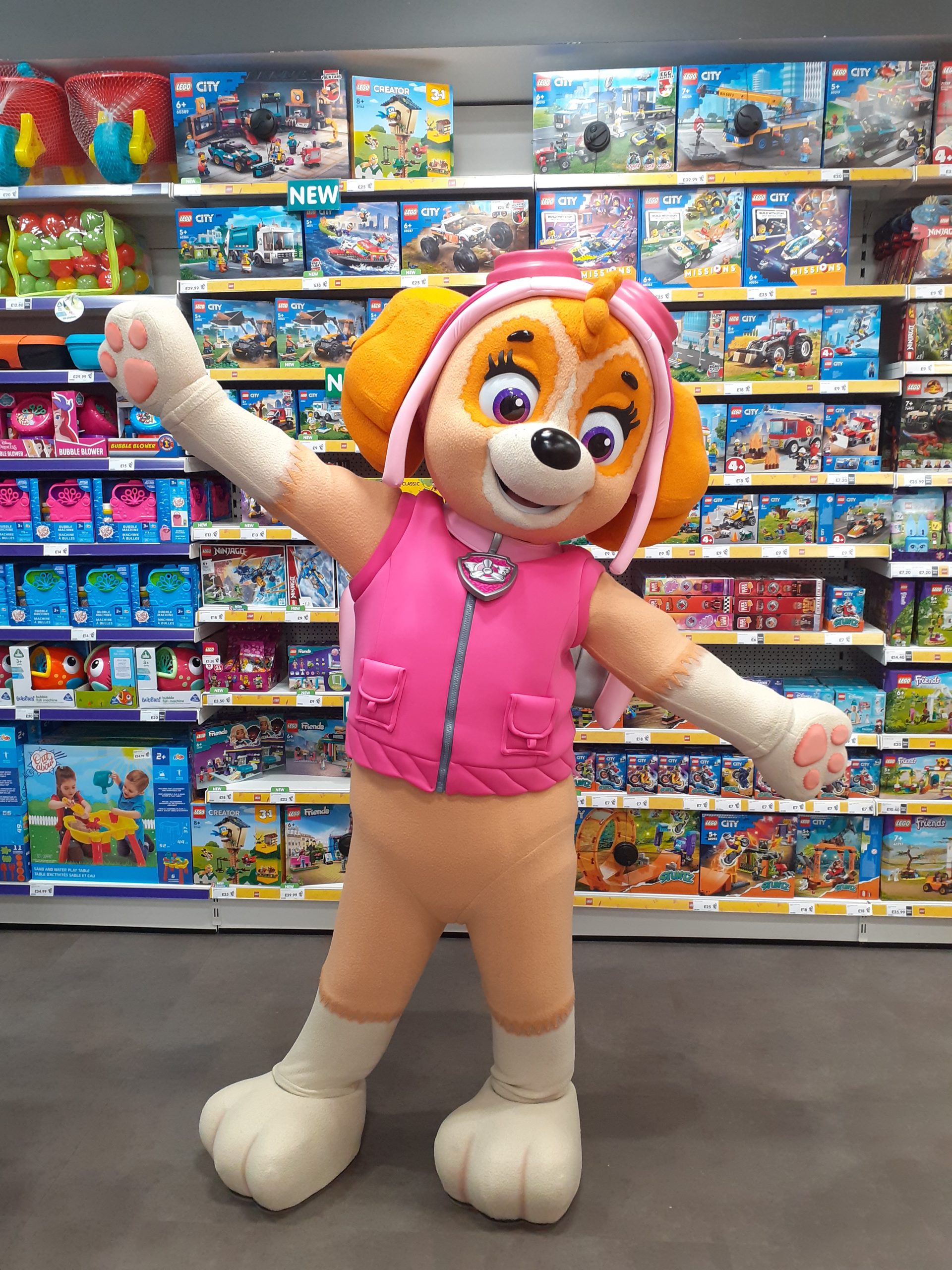 Meet Paw Patrol’s Skye! - Royal Leamington Spa